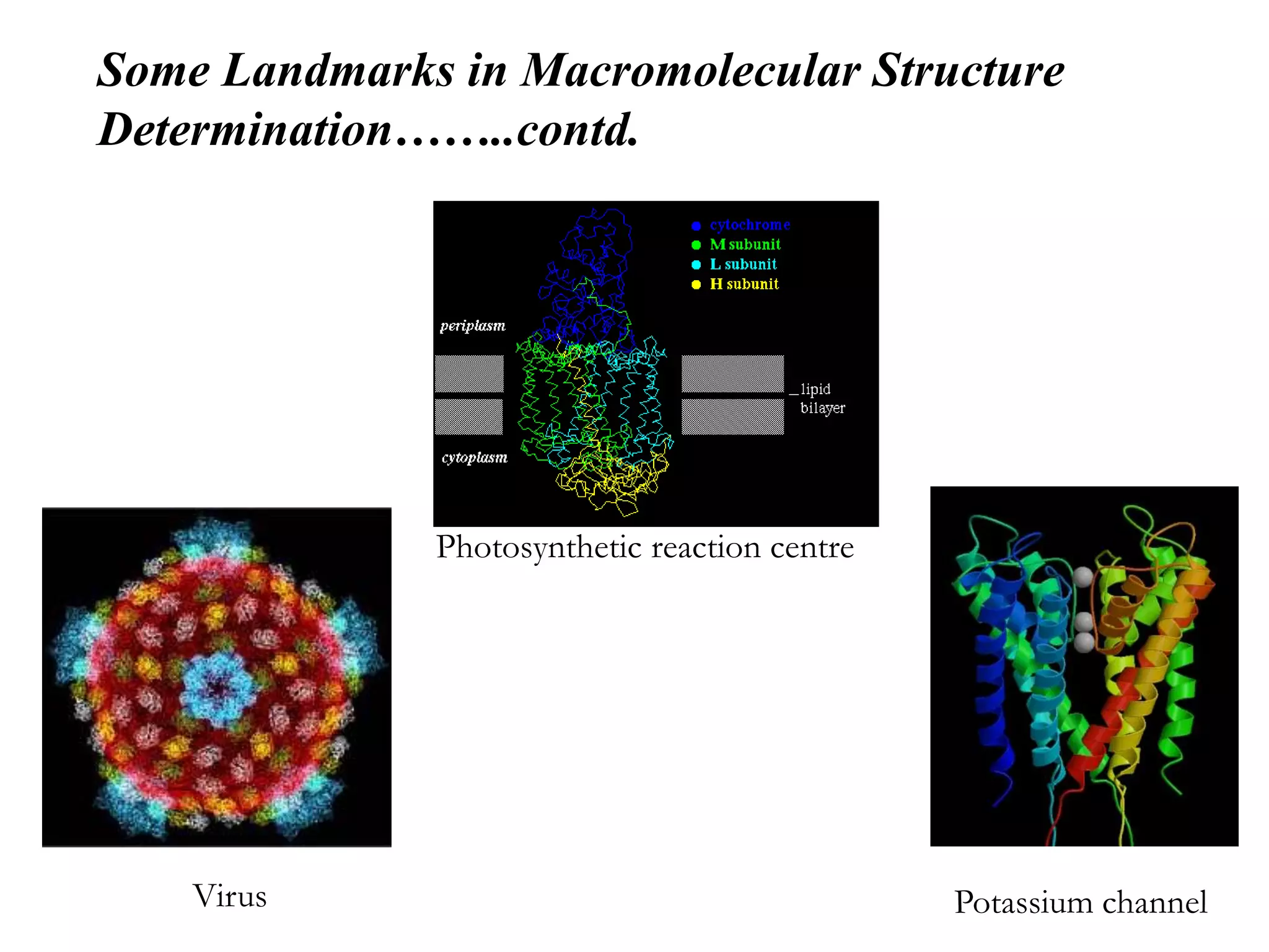 Topic 1 overview structural biology | PPTX