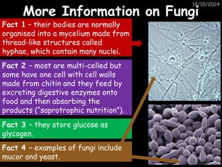 Topic 1 - The Nature and Variety of Living Organisms.pptx
