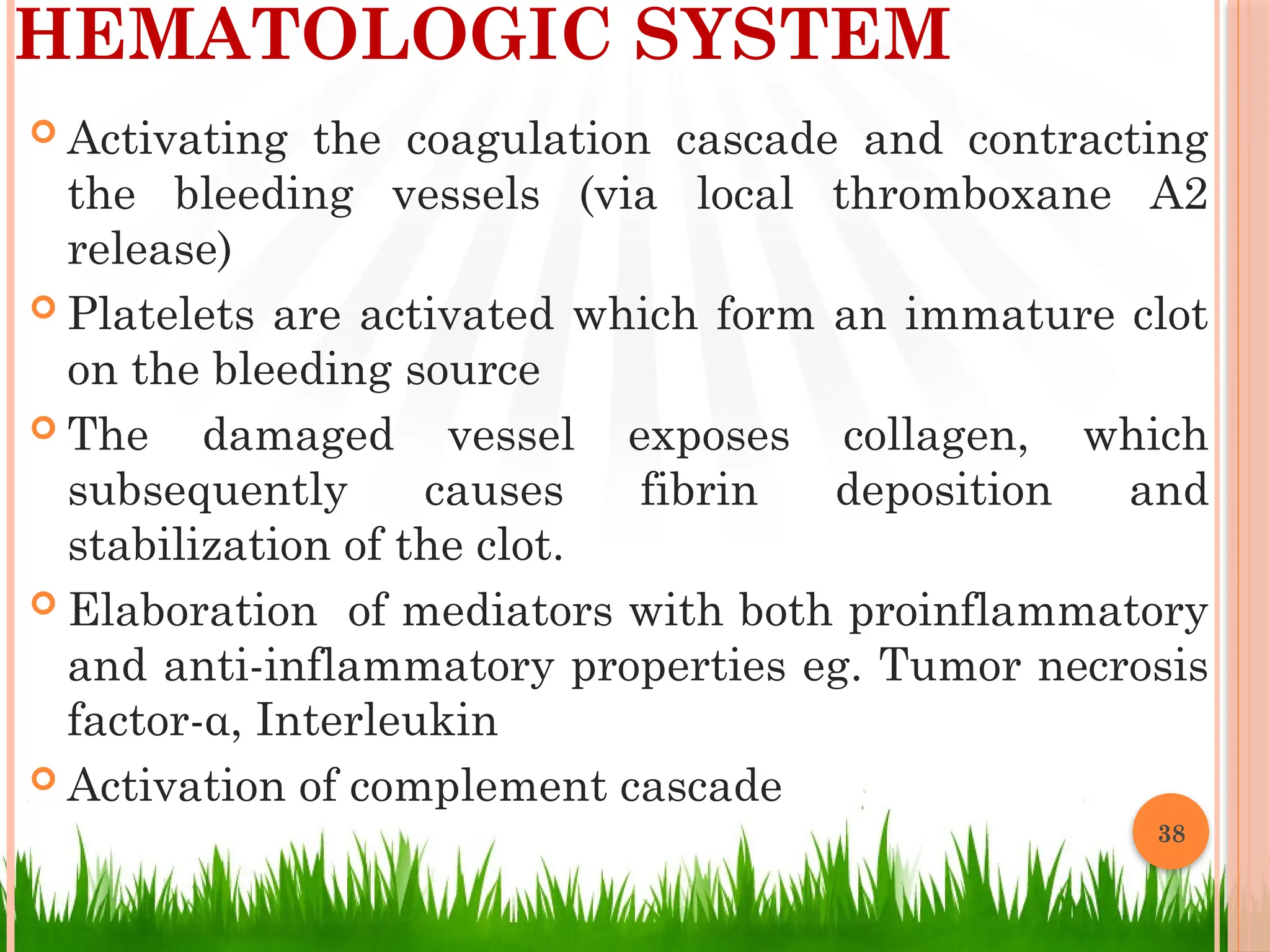 Circulatory System Disorders: Diagnosis & Management | PPT