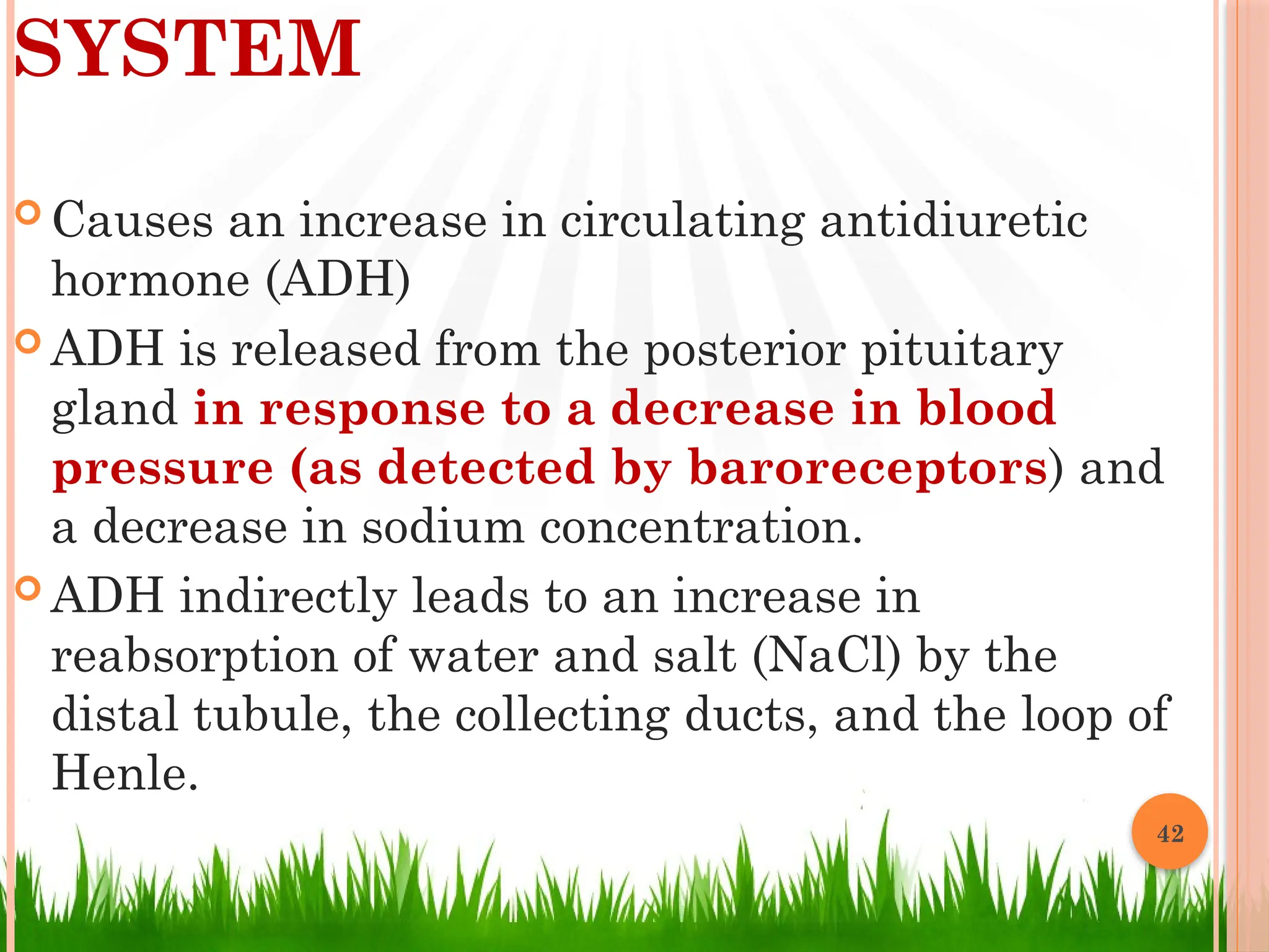 Circulatory System Disorders: Diagnosis & Management | PPT