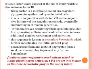 Circulatory System Disorders: Diagnosis & Management | PPTX