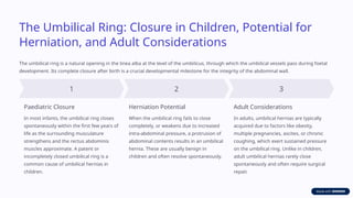Topic 10 PowerPoint presentation on clinical anatomy | PPTX