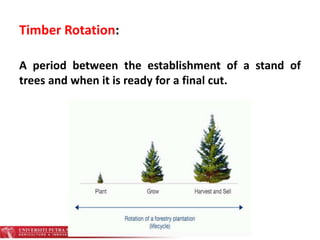 Topic 10 Harvestion and Logging Rotation.pptx
