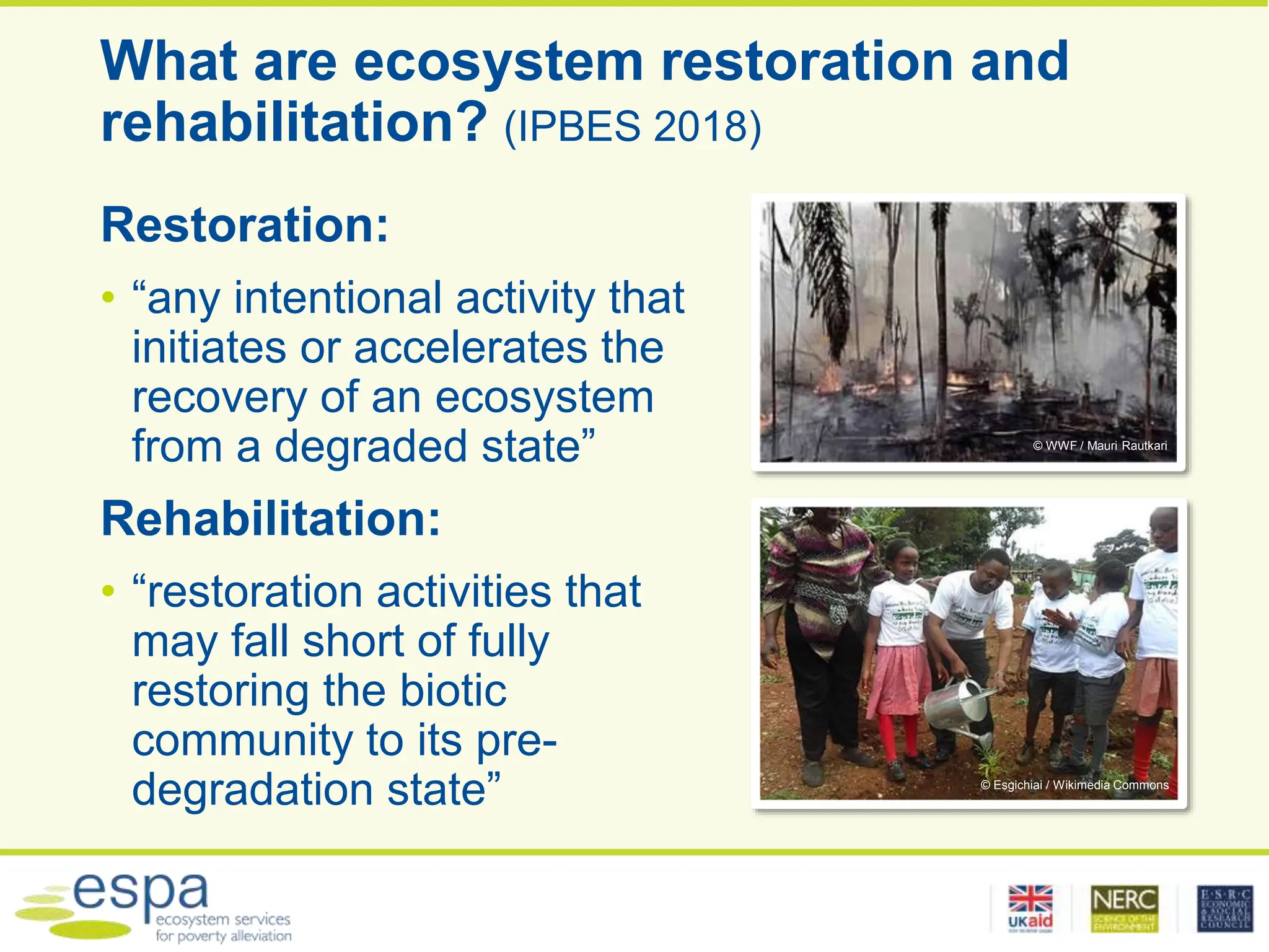 Topic_10_Restoring_Ecosystems ENG.pptxgammeejawaral | PPTX