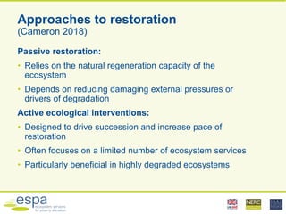 Topic_10_Restoring_Ecosystems ENG.pptxgammeejawaral | PPTX