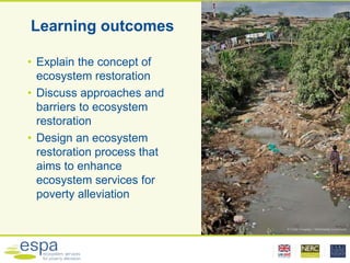 Topic_10_Restoring_Ecosystems ENG.pptxgammeejawaral | PPTX