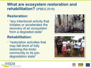 Topic_10_Restoring_Ecosystems ENG.pptxgammeejawaral | PPTX