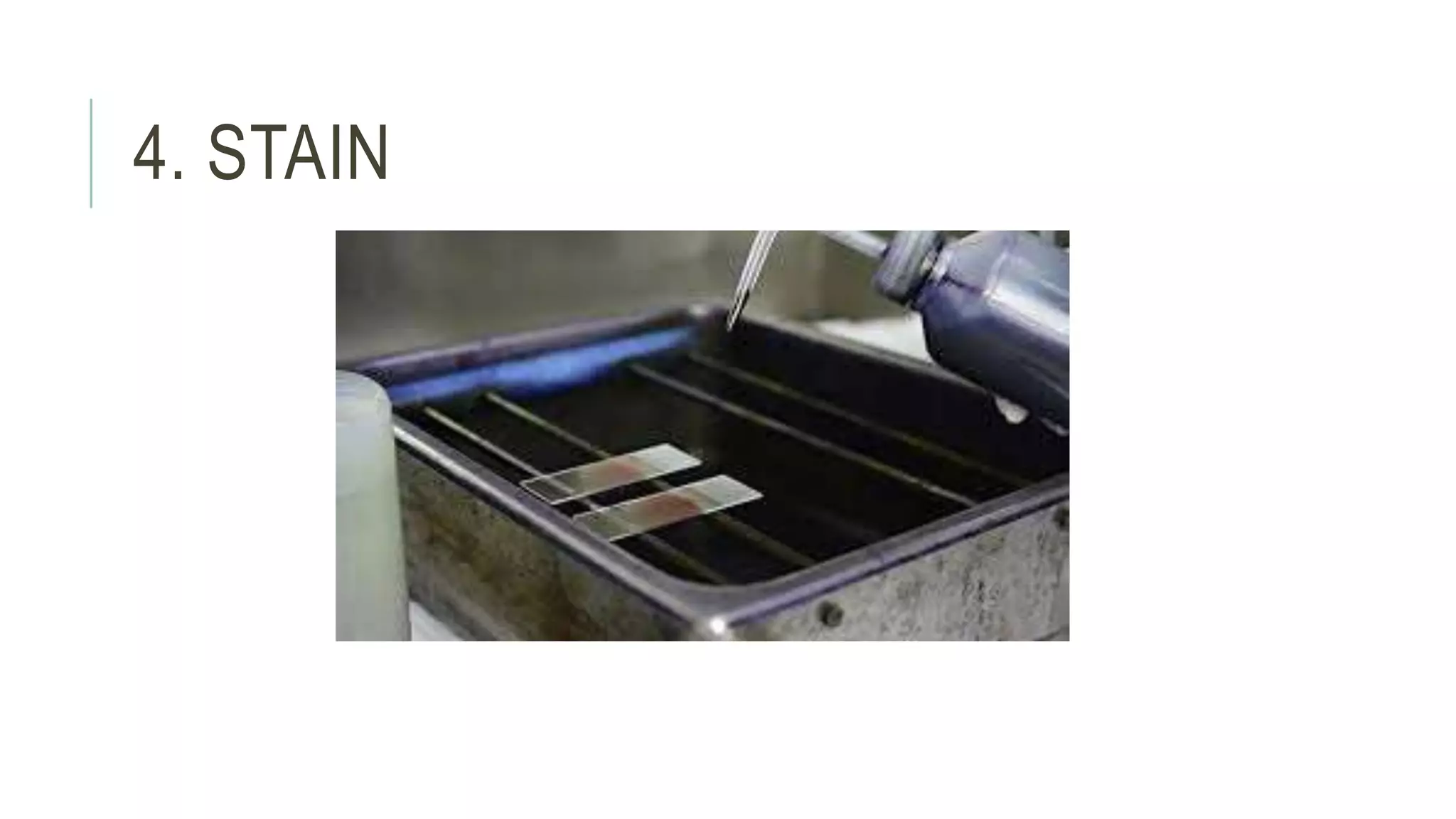 TOPIC 10 ROMANOWSKY STAINING.pptx