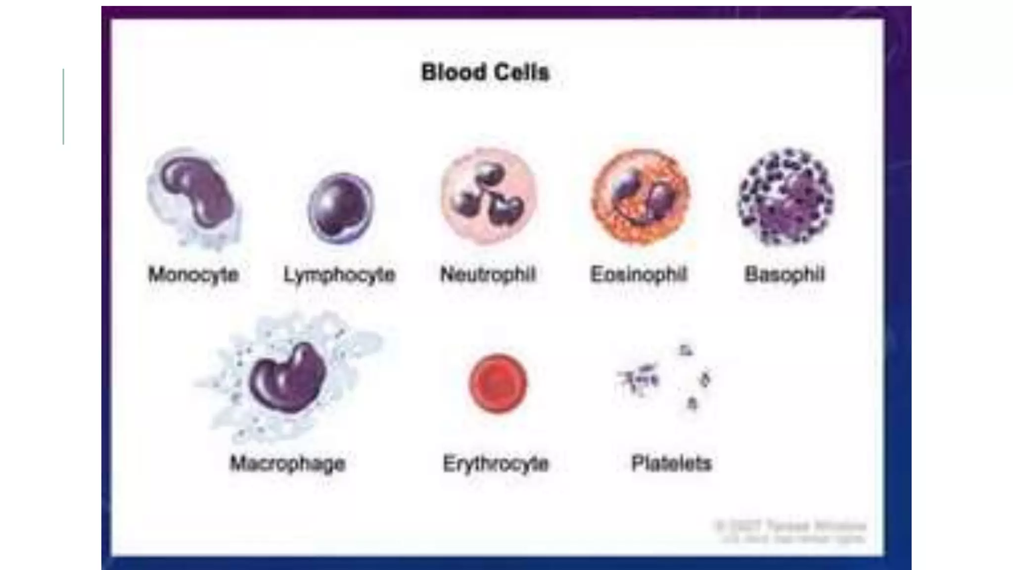 TOPIC 10 ROMANOWSKY STAINING.pptx