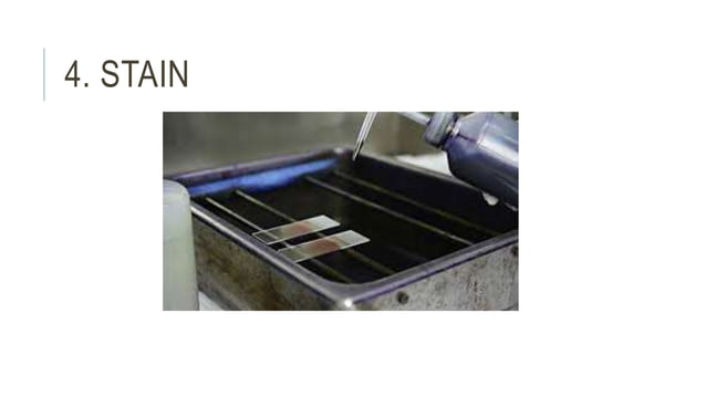 TOPIC 10 ROMANOWSKY STAINING.pptx