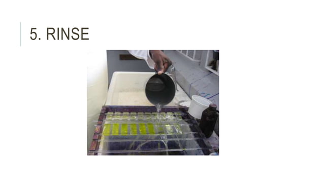 TOPIC 10 ROMANOWSKY STAINING.pptx