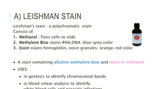 TOPIC 10 ROMANOWSKY STAINING.pptx