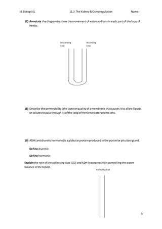 Topic 11.3 the kidney & osmoregulation notes | DOCX