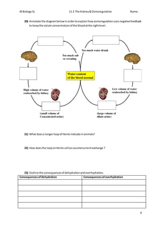 Topic 11.3 the kidney & osmoregulation notes | DOCX