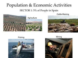 Population & Work in Spain | PPT