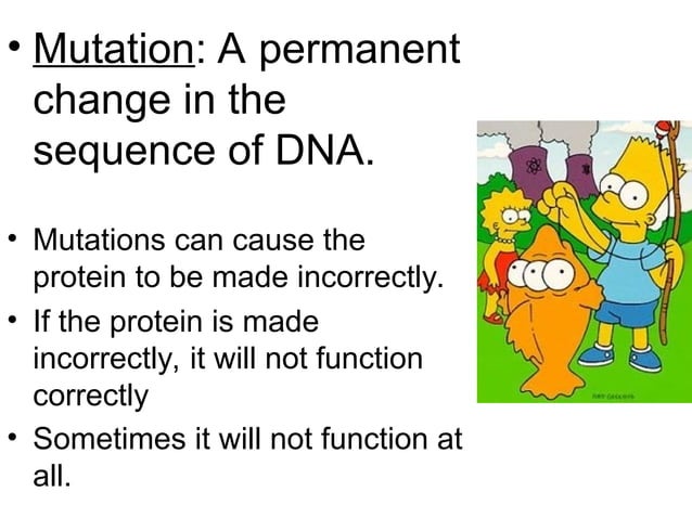 DNA mutations and changes in the genetic code | PPT