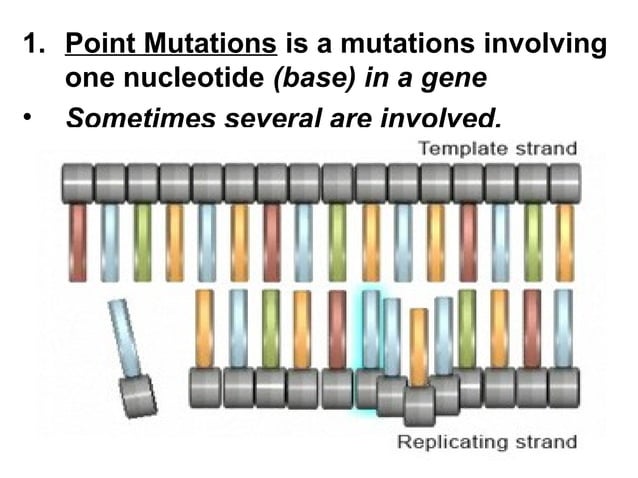DNA mutations and changes in the genetic code | PPT