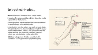 Topic 13 - Peripheral Lymphadenopathy 2.pptx