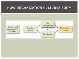 TOPIC 13 ORGANISATIONAL STRUCTURE AND CULTURE.pdf