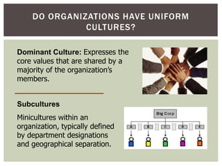 TOPIC 13 ORGANISATIONAL STRUCTURE AND CULTURE.pdf