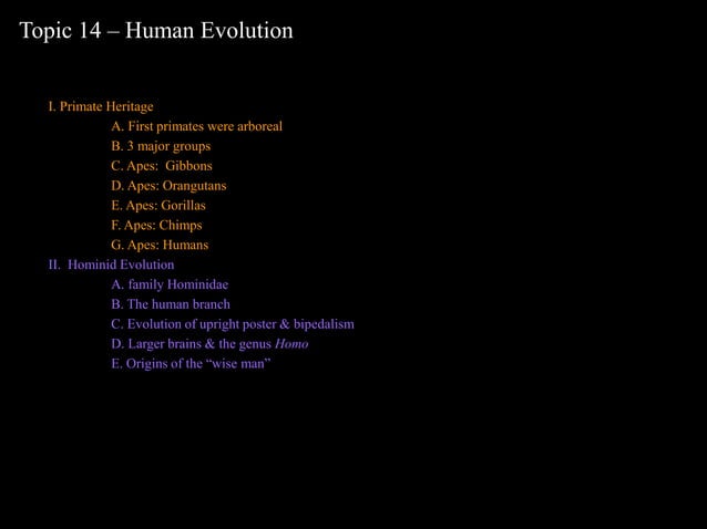 human evolution | PPT