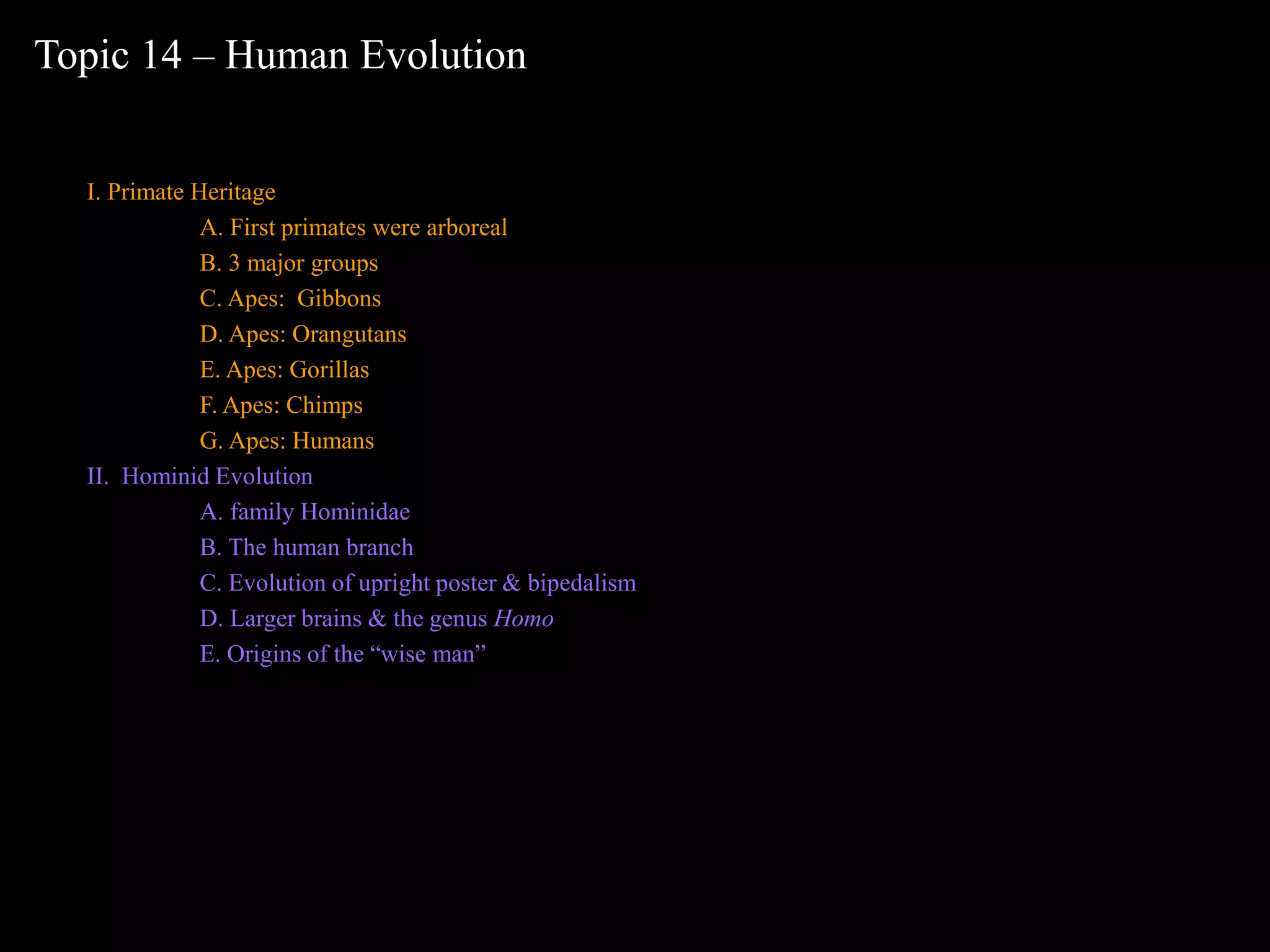 topic14-human-evolution.ppt