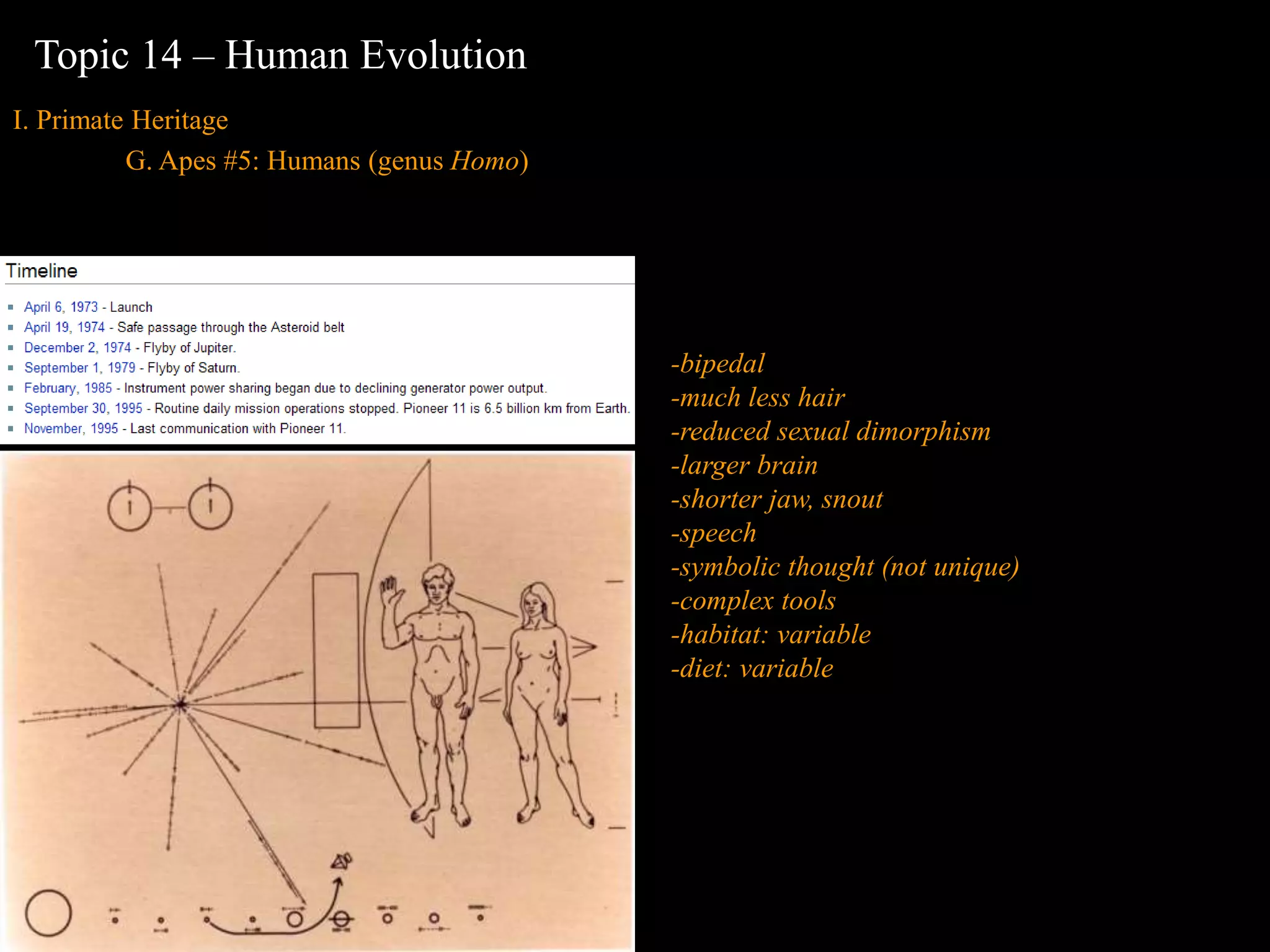 topic14-human-evolution.ppt