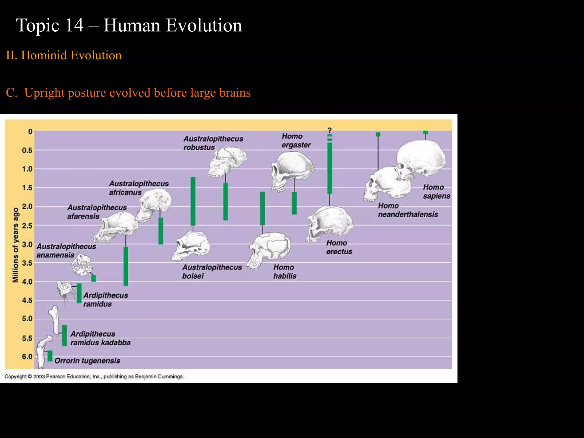 topic14-human-evolution.ppt