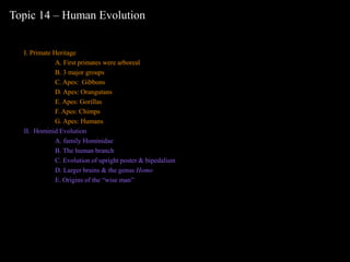 topic14-human-evolution.ppt