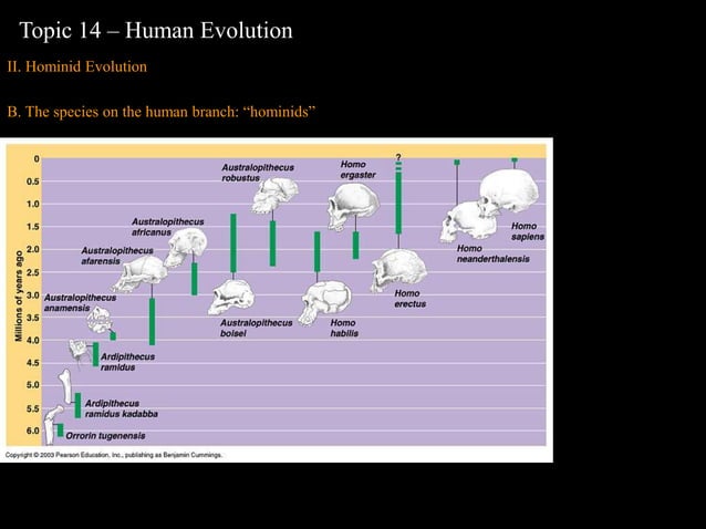 topic14-human-evolution.ppt