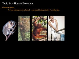 topic14-human-evolution.ppt