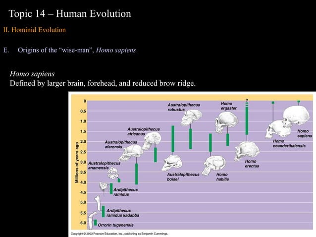 topic14-human-evolution.ppt