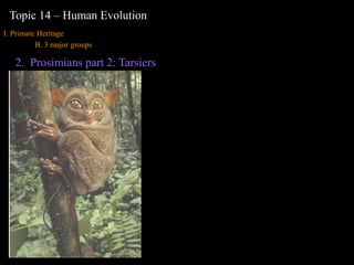 topic14-human-evolution.ppt