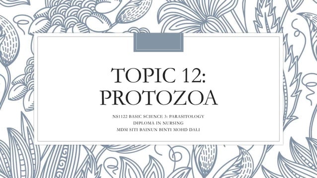 topic empat belas protozoa parasites parasitology | PPTX | Digestive ...