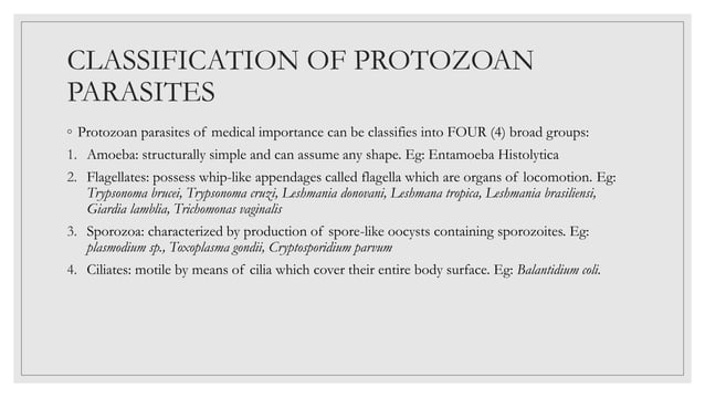 topic empat belas protozoa parasites parasitology | PPTX | Digestive ...