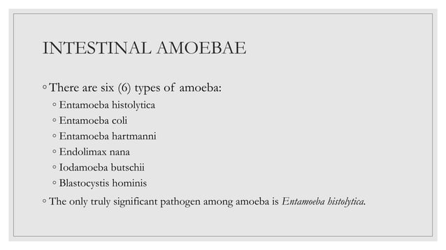 topic empat belas protozoa parasites parasitology | PPTX | Digestive ...