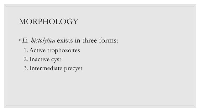 topic empat belas protozoa parasites parasitology | PPTX | Digestive ...