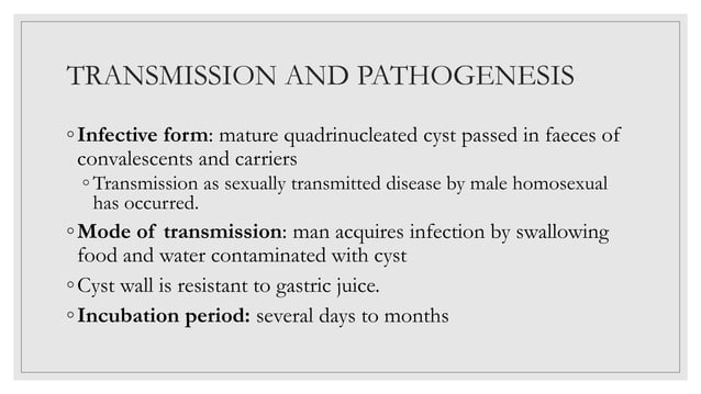 topic empat belas protozoa parasites parasitology | PPTX | Digestive ...