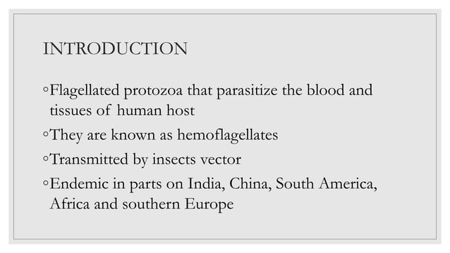 topic empat belas protozoa parasites parasitology | PPTX | Digestive ...