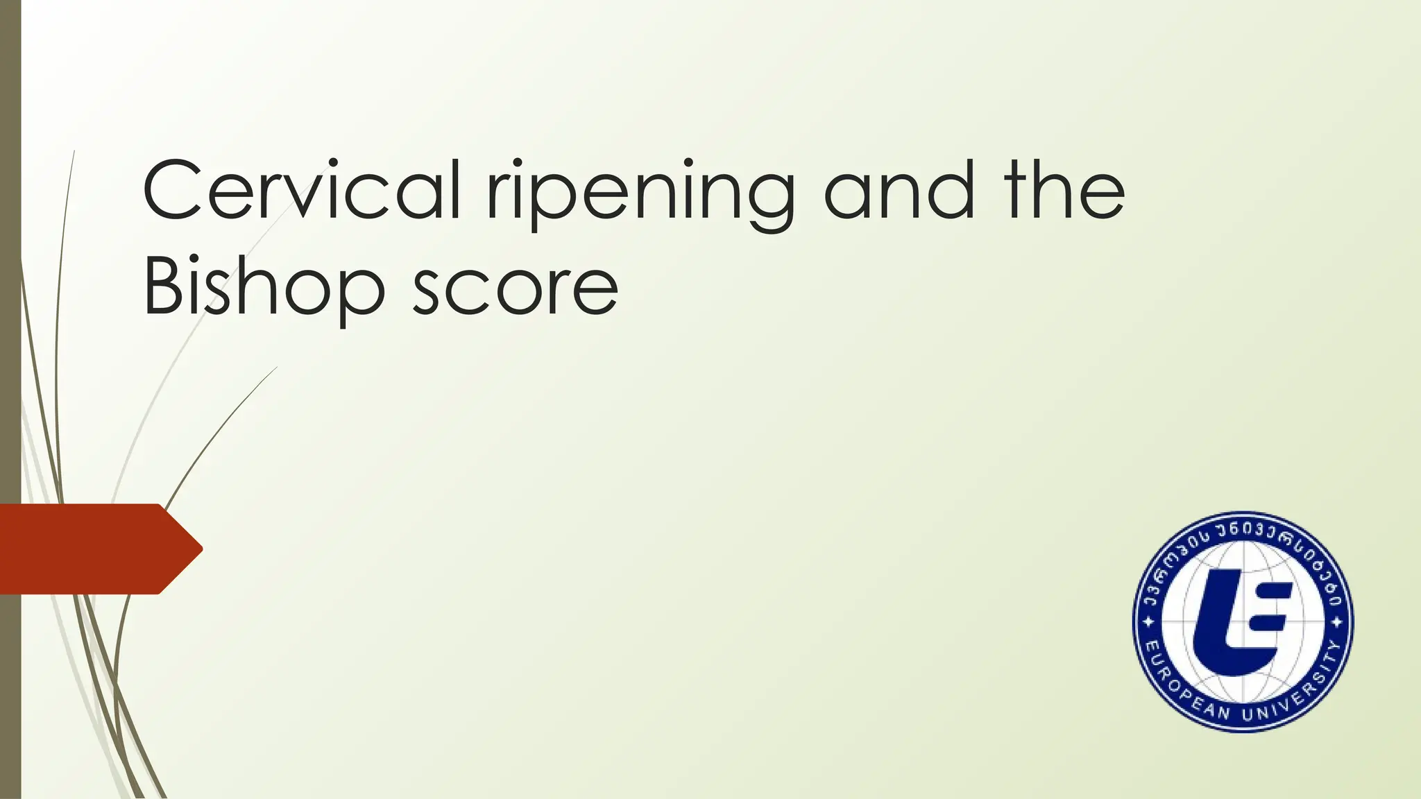 Topic 17 - Cervical ripening and the Bishop score.pptx