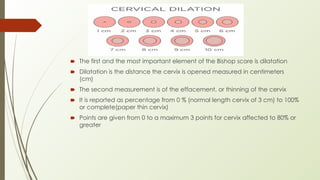 Topic 17 - Cervical ripening and the Bishop score.pptx