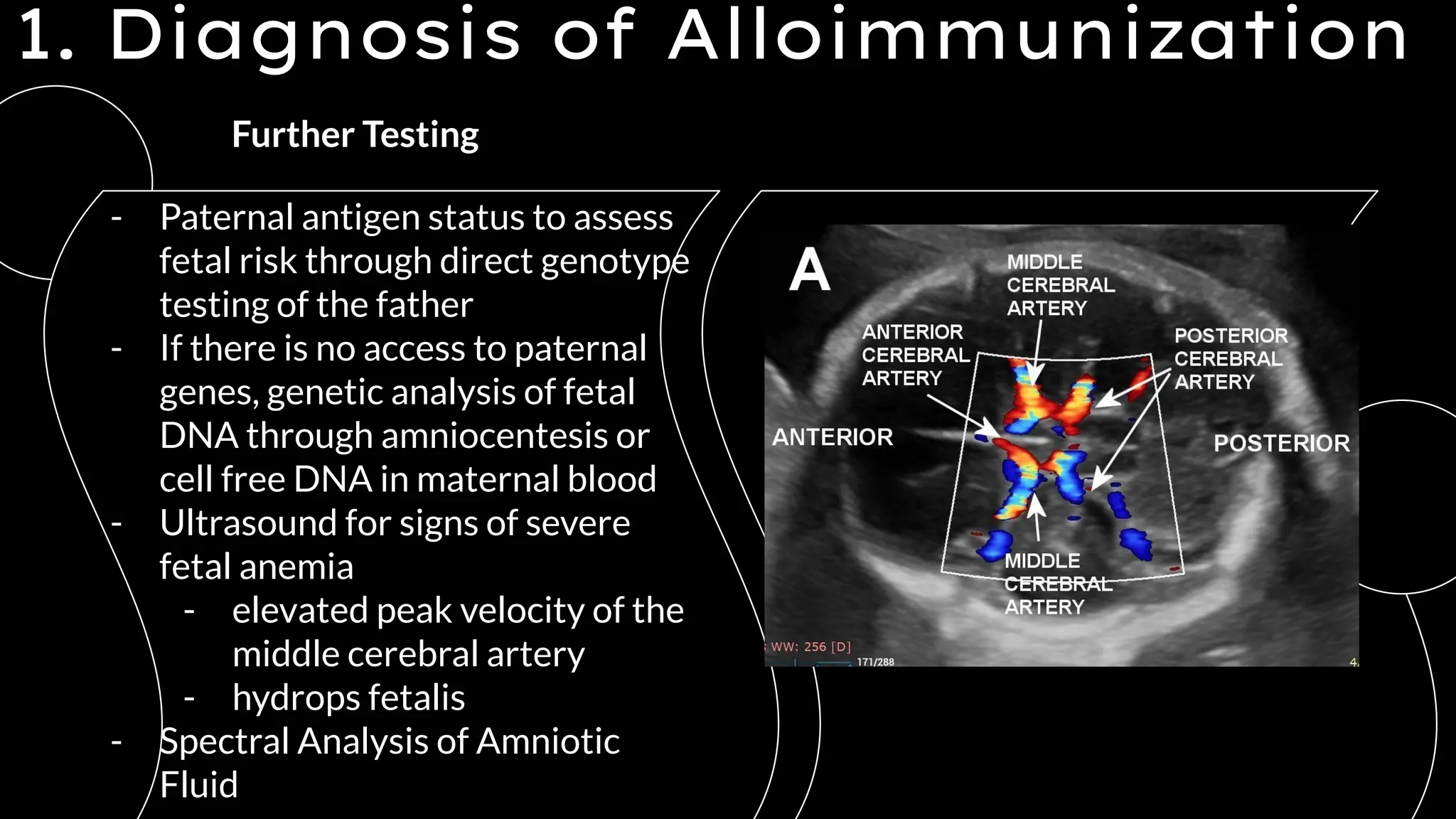 Topic 19: Alloimmunization in Pregnancy.pdf