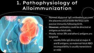 Topic 19: Alloimmunization in Pregnancy.pdf