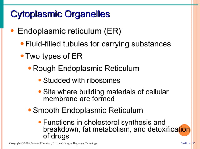 Topic 1 Cellular Abberation | PPT | Chemistry | Science