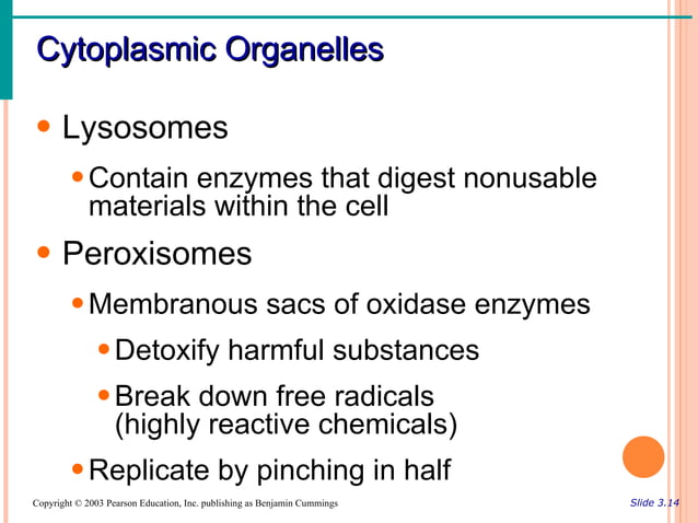 Topic 1 Cellular Abberation | PPT | Chemistry | Science