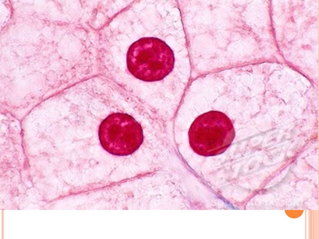 Topic 1 Cellular Abberation | PPT | Chemistry | Science