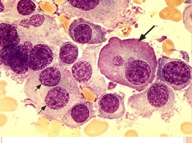 Topic 1 Cellular Abberation | PPT | Chemistry | Science