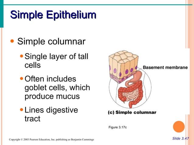 Topic 1 Cellular Abberation | PPT | Chemistry | Science