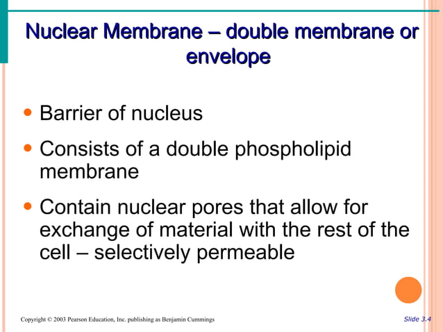 Topic 1 Cellular Abberation | PPT | Chemistry | Science