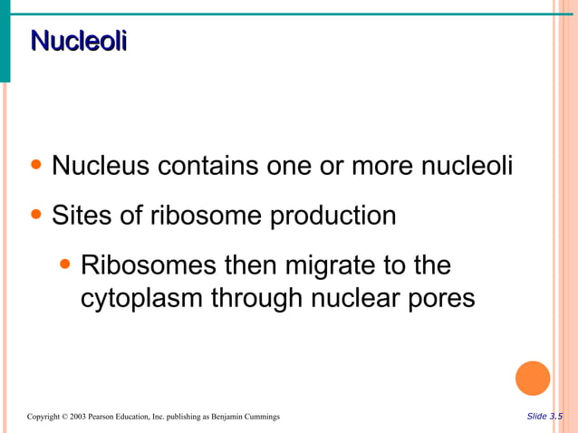 Topic 1 Cellular Abberation | PPT | Chemistry | Science